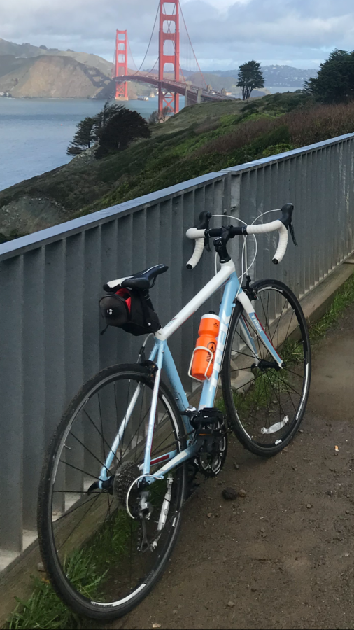 2013 Trek Lexa SL (Triple)