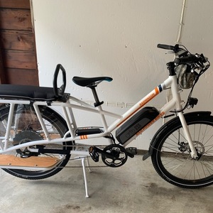 2020 Rad Power Bikes RadWagon