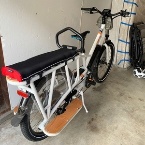 2020 Rad Power Bikes RadWagon