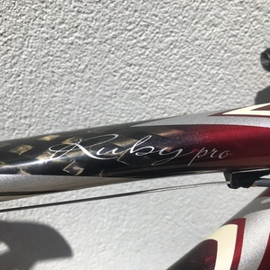 Specialized Ruby Pro