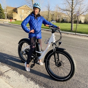 2020 Rad Power Bikes Rad Rover Step Thru