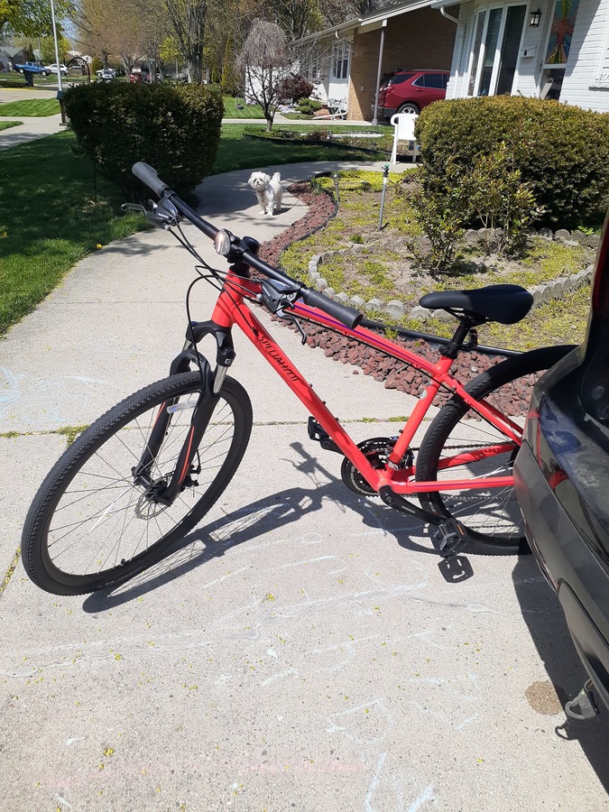 2019 Specialized ARIEL MECH DISC