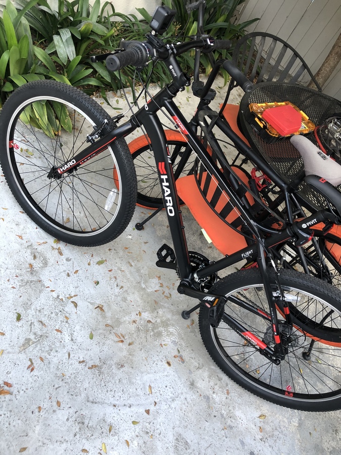 2020 Haro FlightLineOne