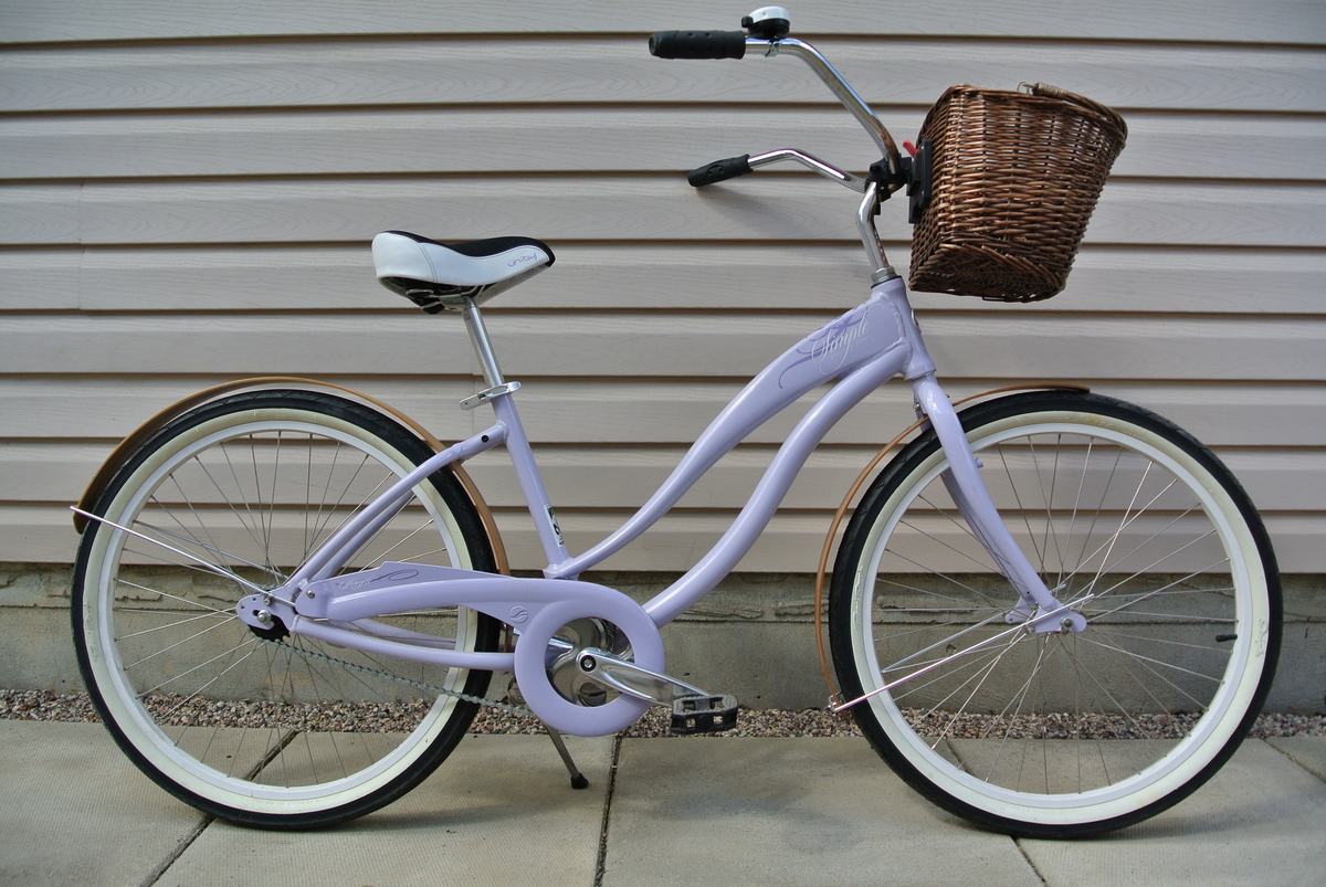 2008 Giant Simple Single