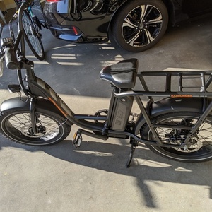 2020 Rad Power Bikes RadRunner 1 Electric Utility Bike