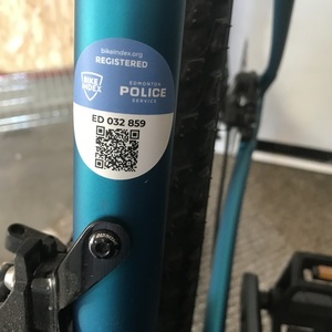 2019 Specialized Chisel