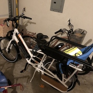 2020 Rad Power Bikes RadWagon