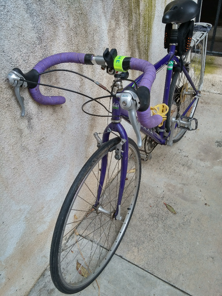 1998 Novara Randonee