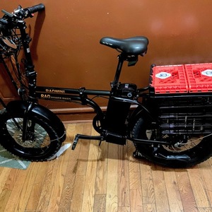 2016 Rad Power Bikes RADMINI
