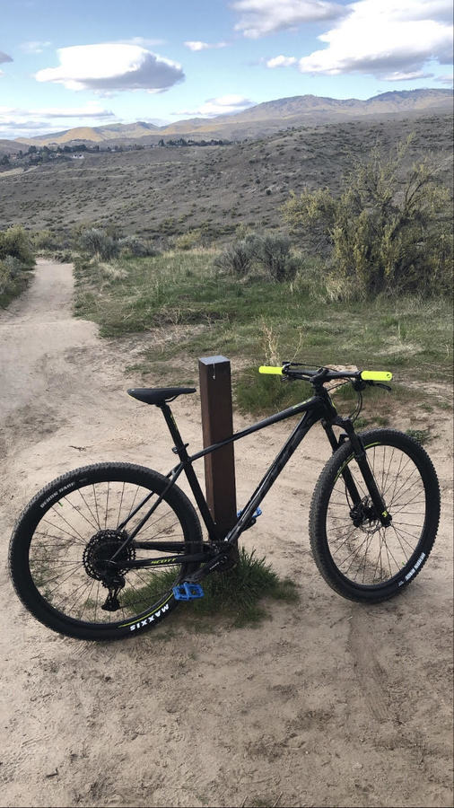 2020 SCOTT Scale 970