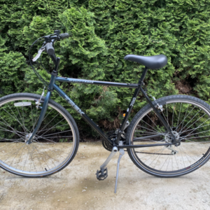 2020 Trek Multi-Track 700