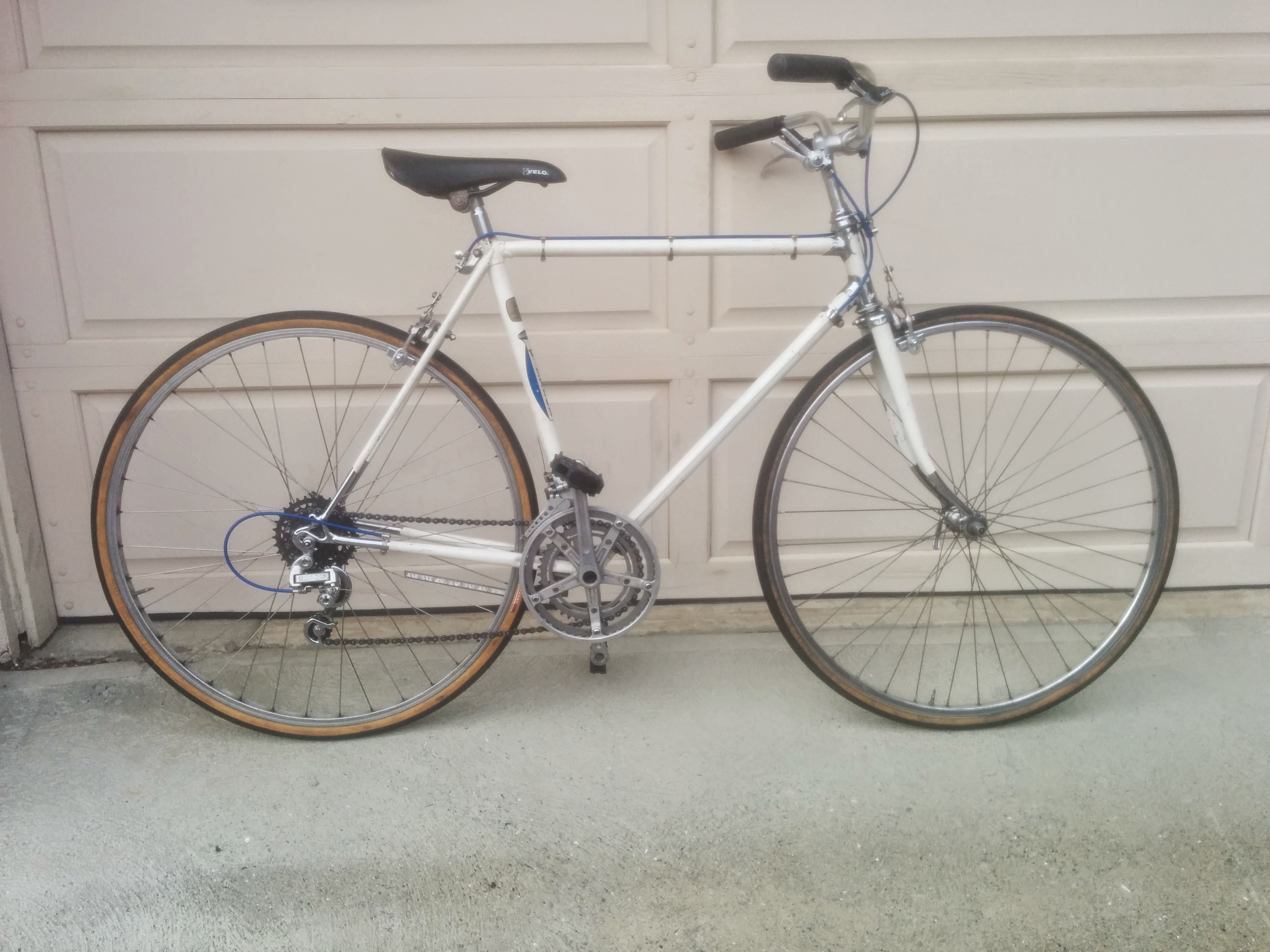 Windsor Carrera Sport