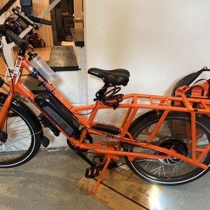 2019 Rad Power Bikes Radwagon