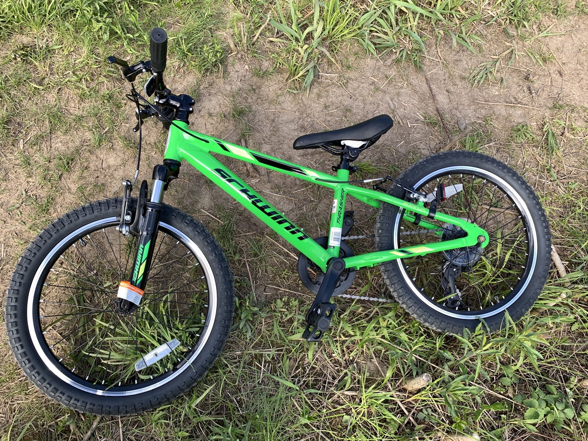 2020 Schwinn Thrasher