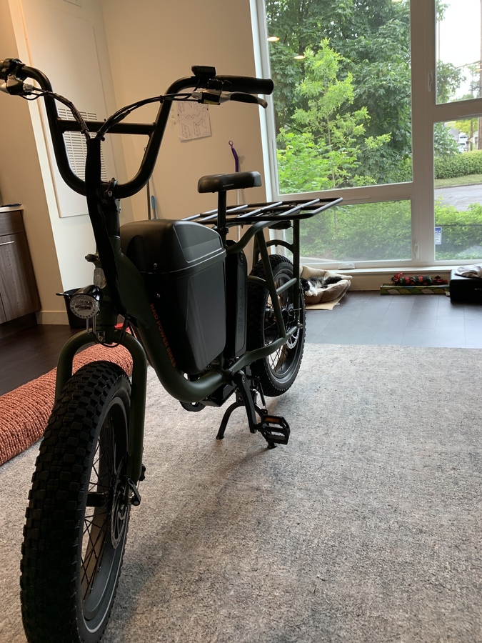 2020 Rad Power Bikes RadRunner