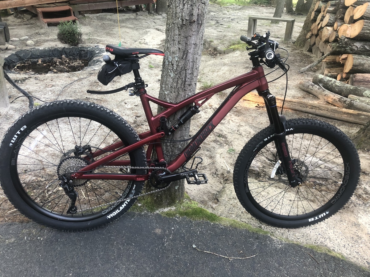2019 Diamondback