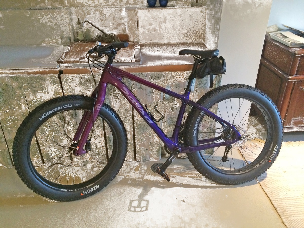 2016 Salsa Beargrease