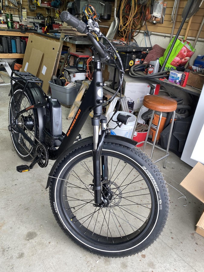 2020 Rad Power Bikes RadRover Step-Thru Electric Fat Bike ...
