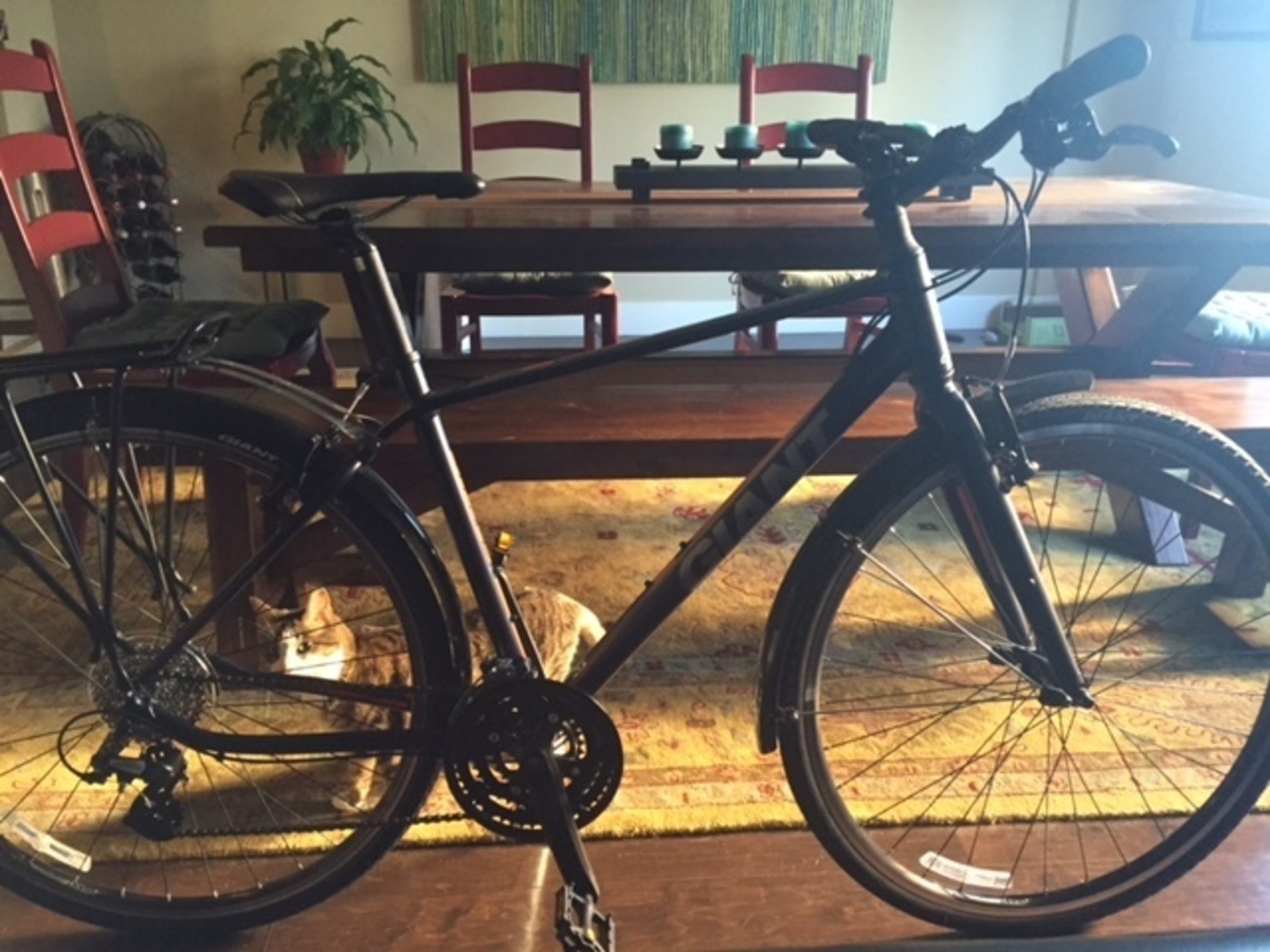 2015 Giant Escape 2 Med BLK