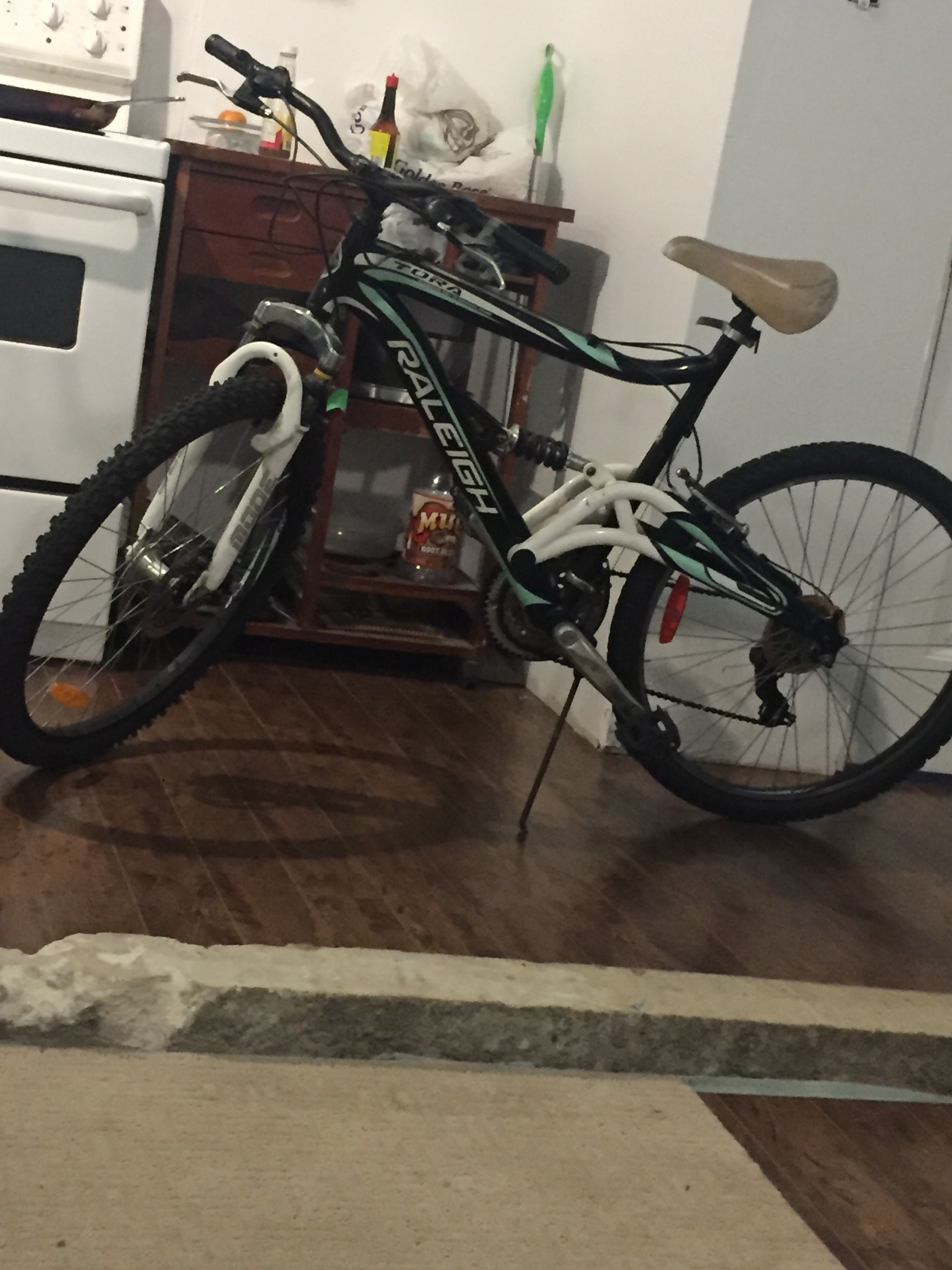 Stolen Raleigh Raleigh