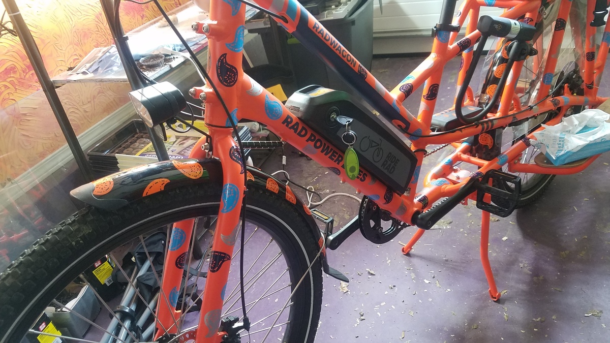 2020 Rad Power Bikes RadWagon