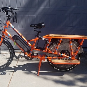 2020 Rad Power Bikes RadWagon