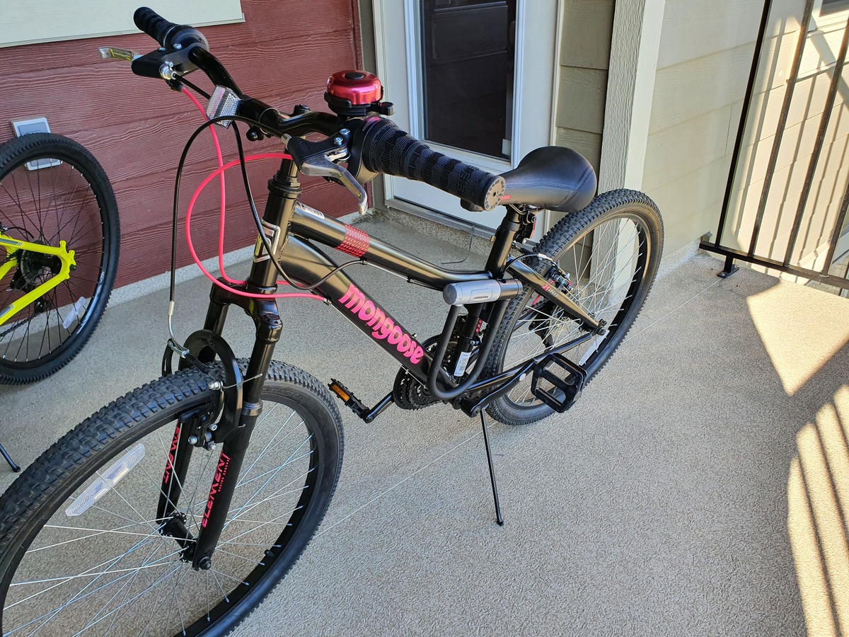 2019 Mongoose Steel mountain frame