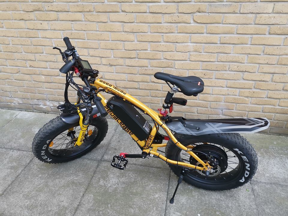 2020 pedalease 17" Gold Frame