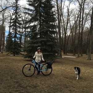 2016 Apollo Transfer 20 ws xs