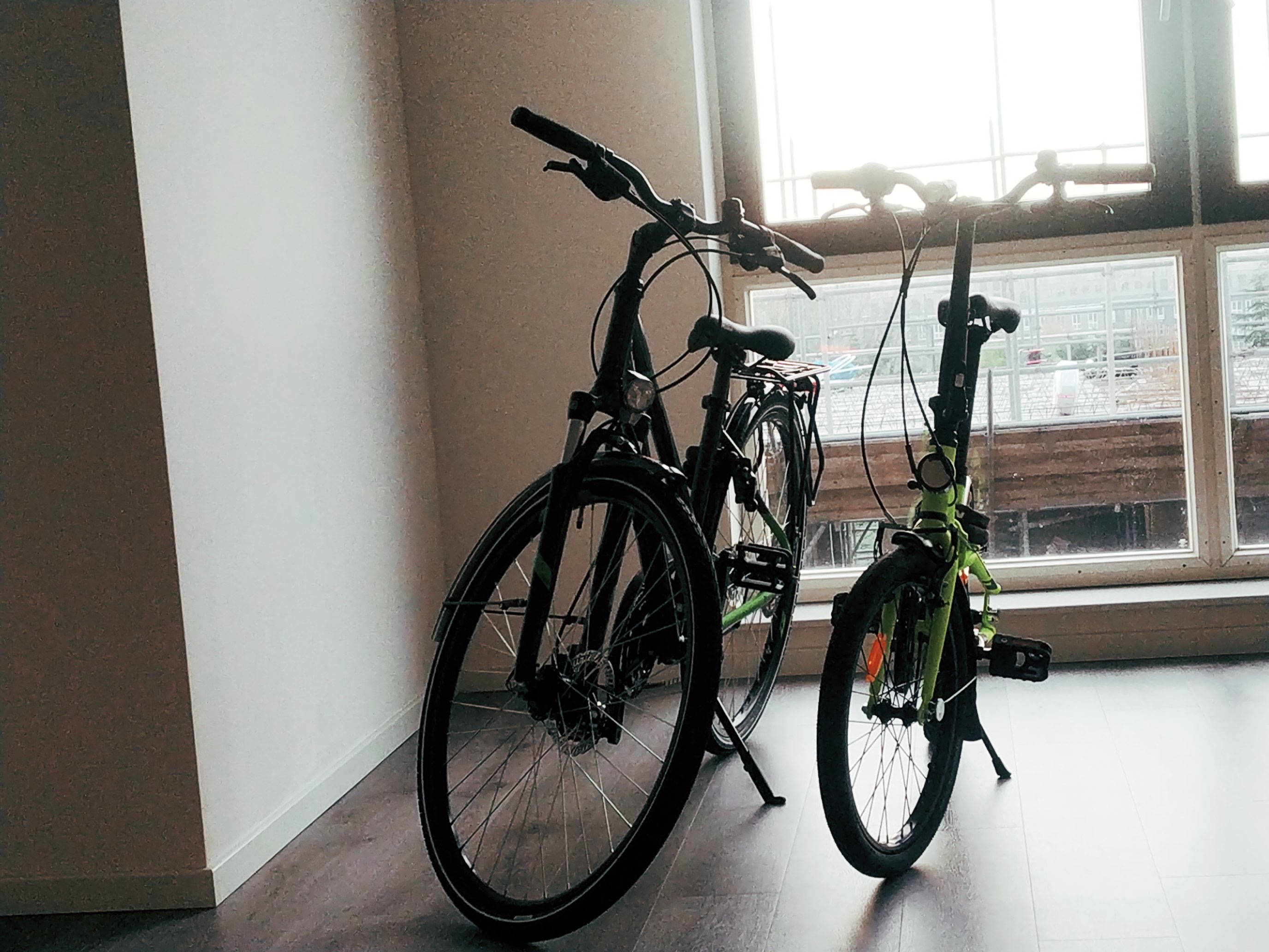 Stolen 2019 Pegasus Corona Disk