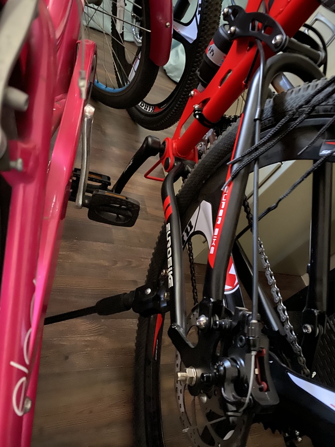 Stolen 2019 EuroBike EuroBike G4