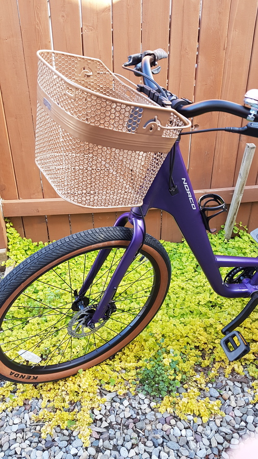 2019 Norco Bikes Scene 1