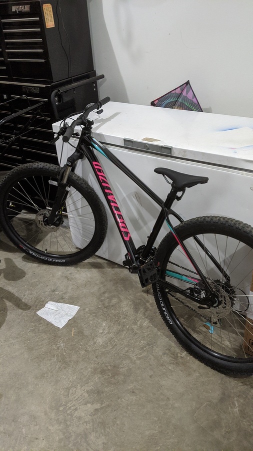 2018 Specialized Pitch stout