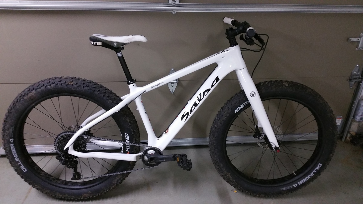 2015 Salsa Beargrease