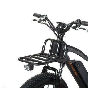 Stolen 2020 Rad Power Bikes Rad Runner