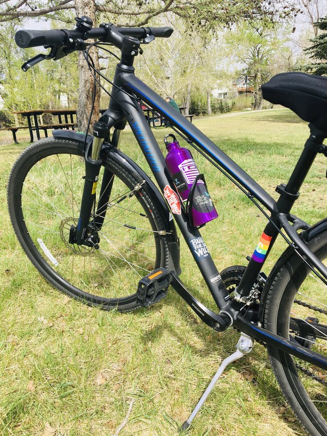 2020 Specialized ARIEL MECH DISC