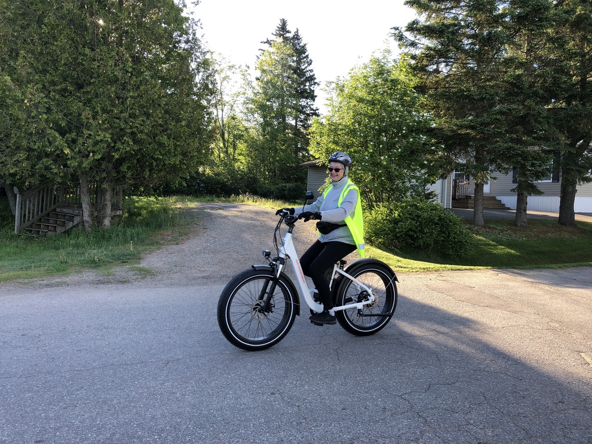 2020 Rad Power Bikes Rad Rover Step Through