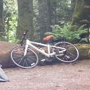 Stolen 2012 Diamondback Insight