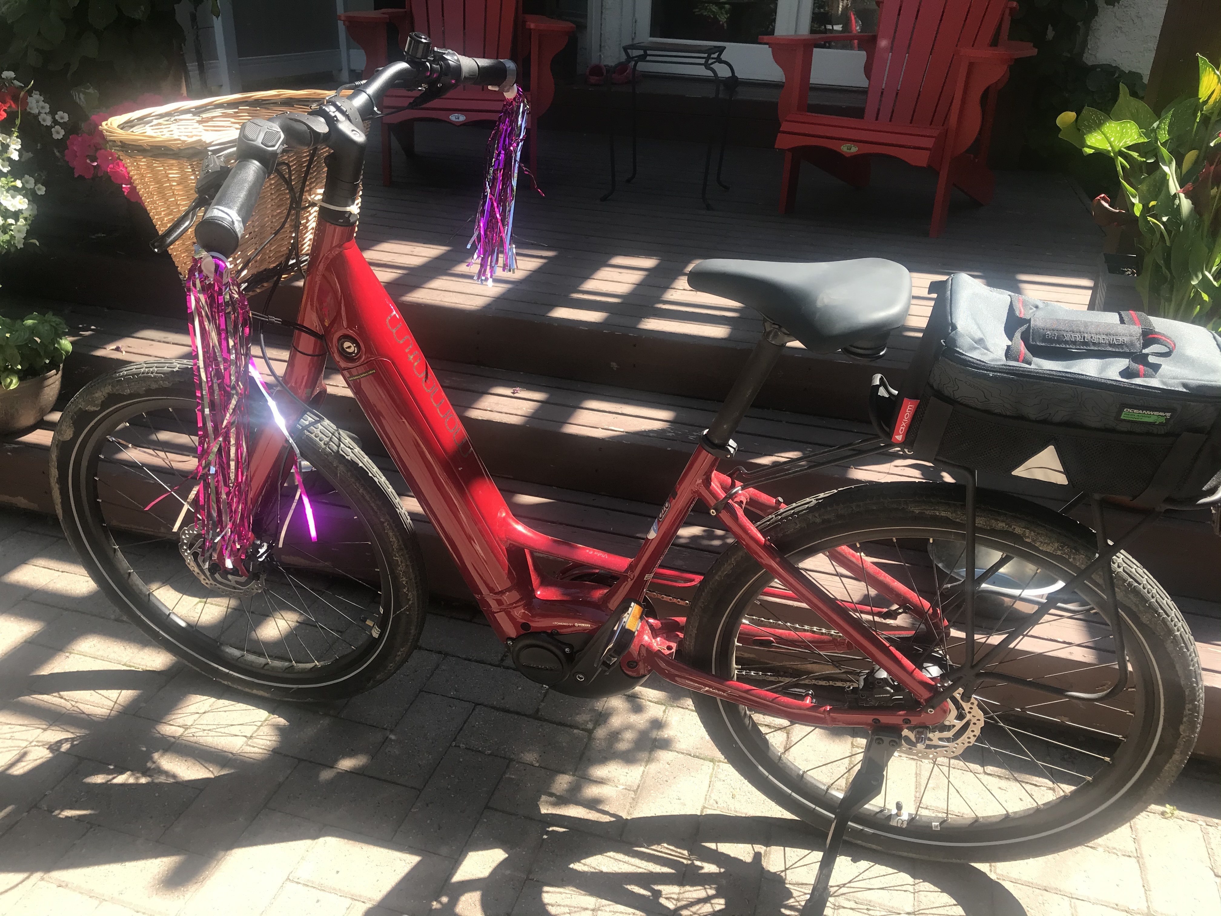 2020 Giant Momentum Vida E+