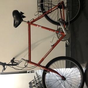 Stolen 1990 Diamondback Ascent