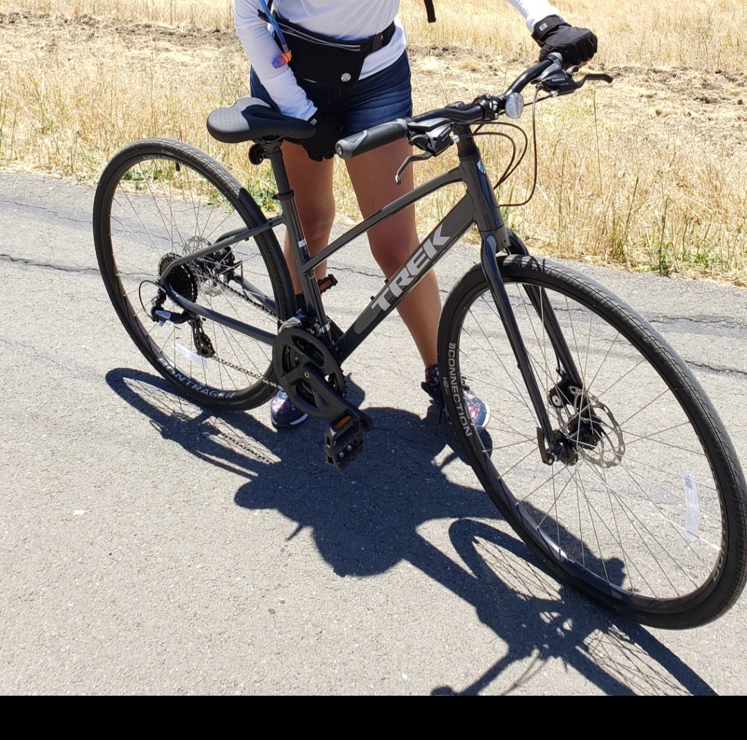 Stolen 2020 Trek FX 1 step through