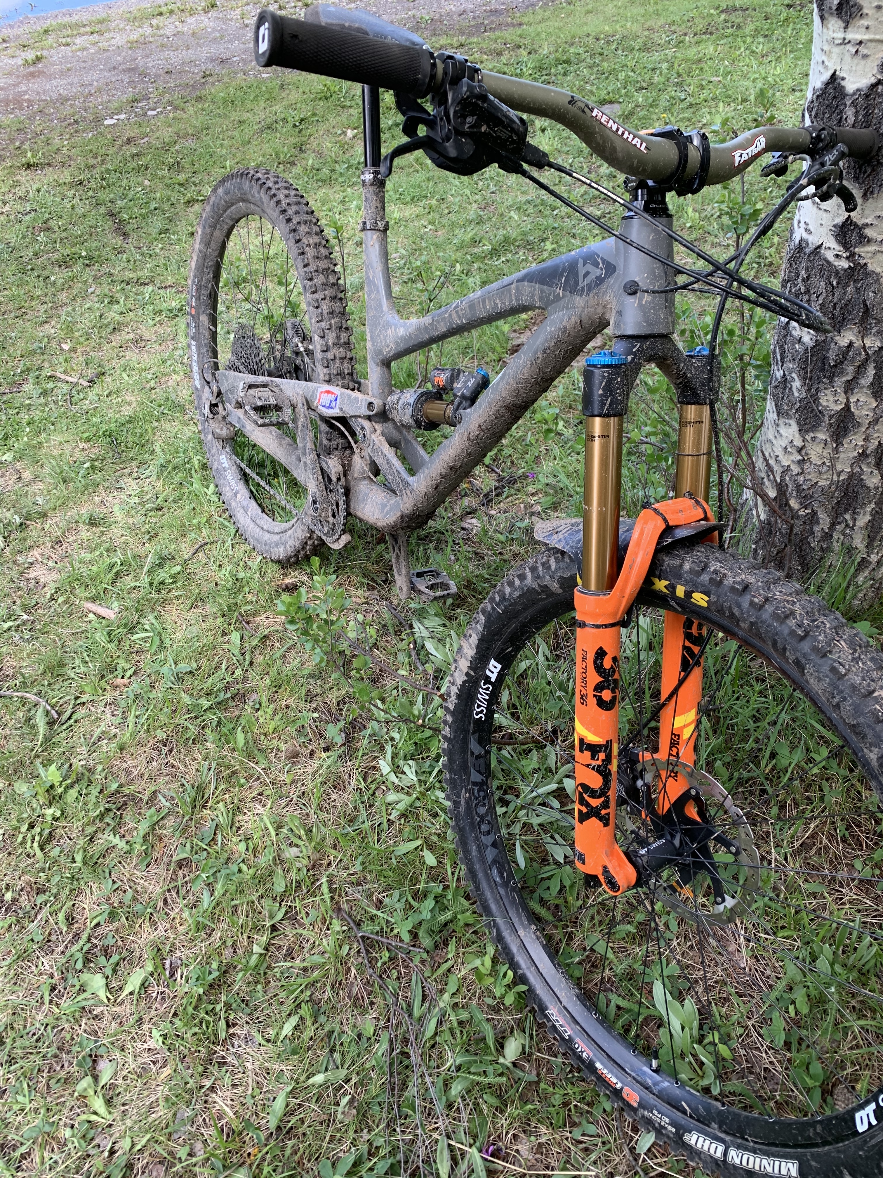 2019 YT YT Capra 29 al base