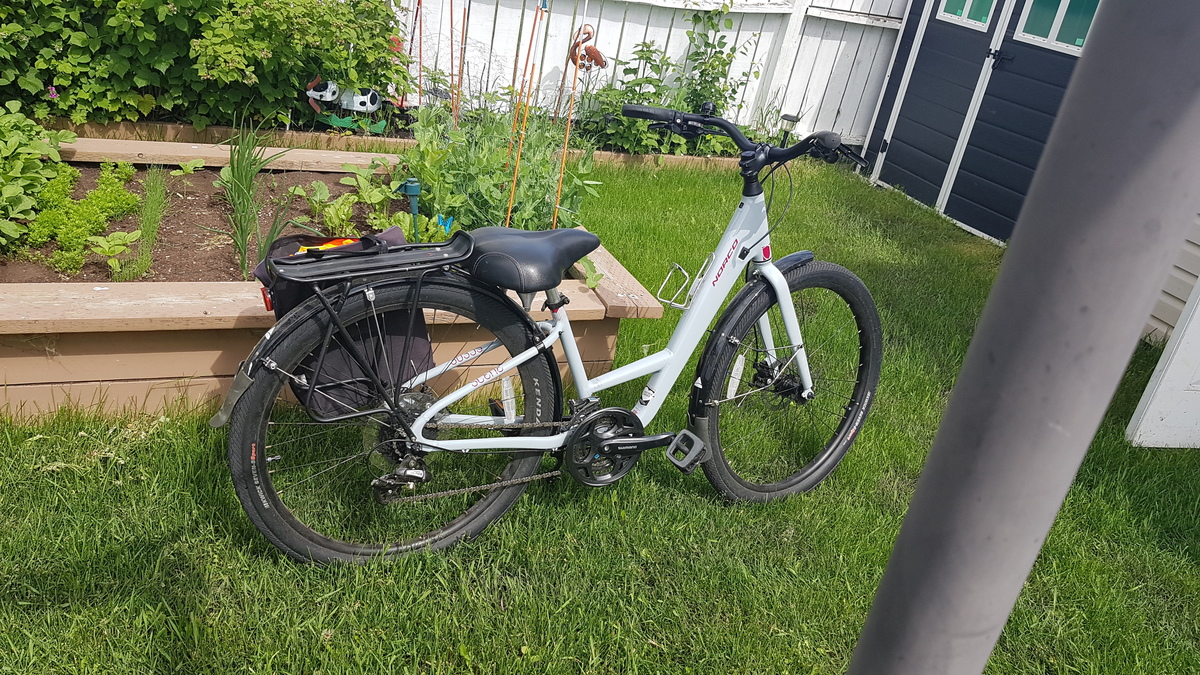 2019 Norco Bikes Scene 2
