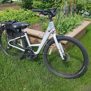 2019 Norco Bikes Scene 2