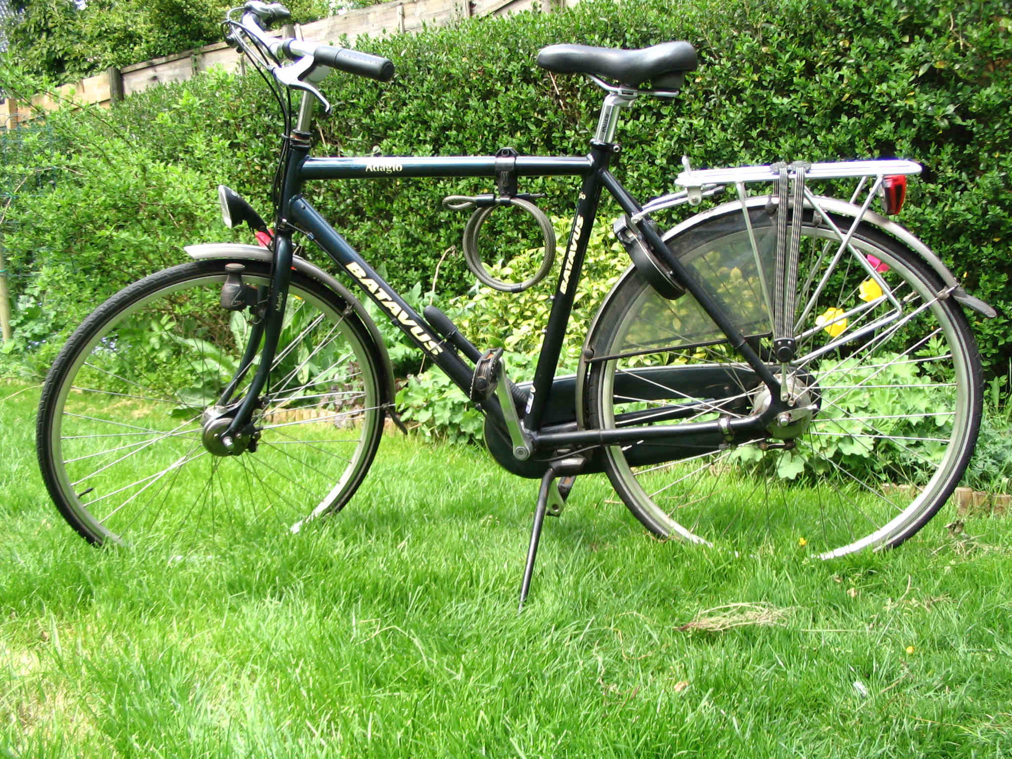 Batavus Batavus Adagio