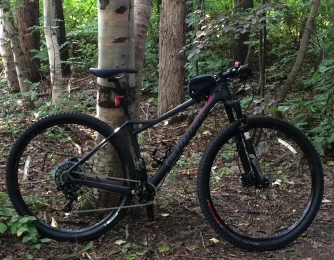 2016 Specialized FATE