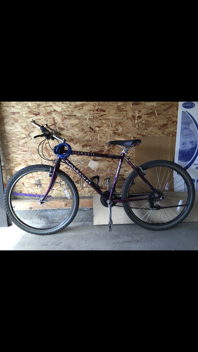 1995 Raleigh Serengeti