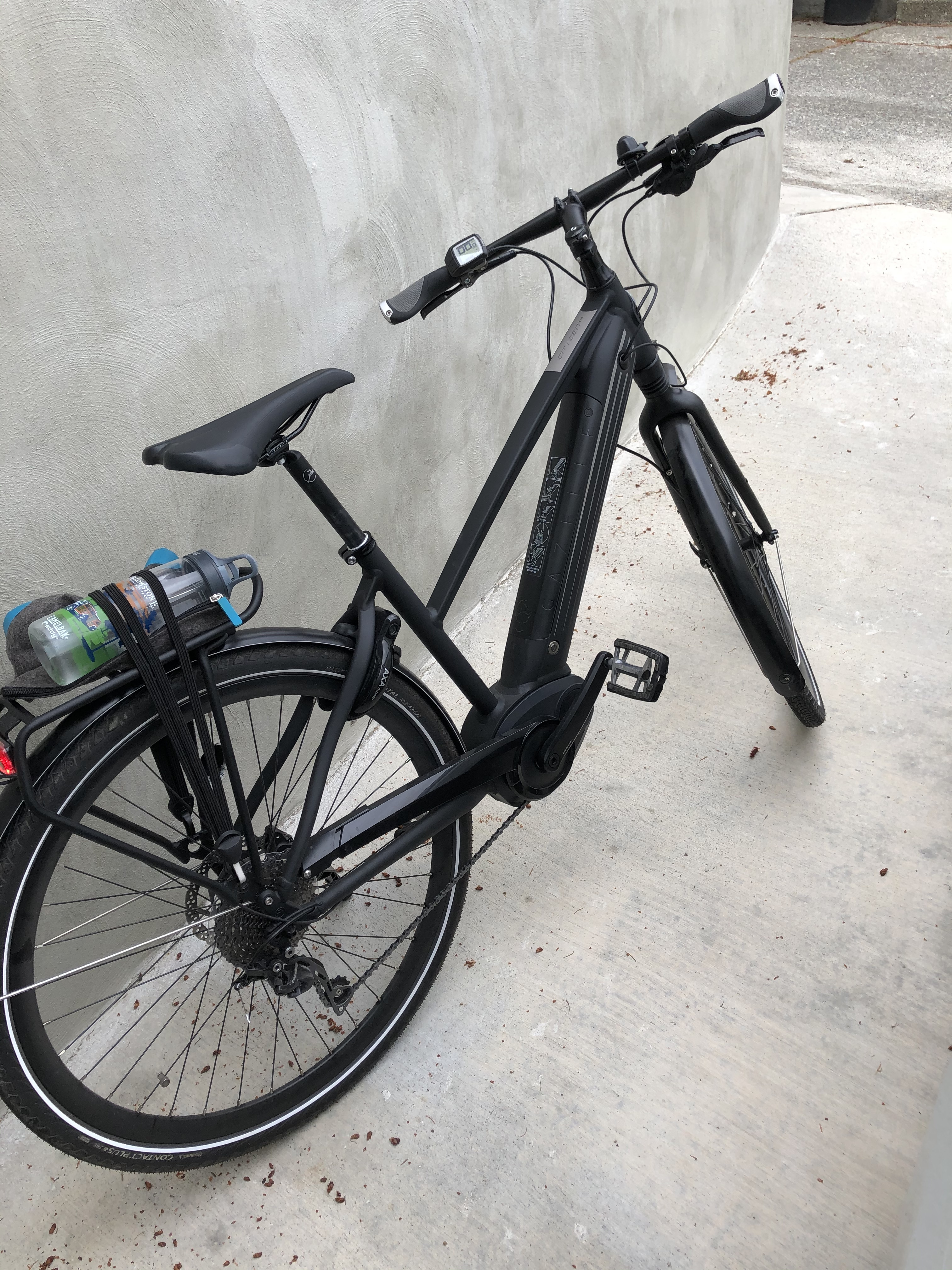 2019 Gazelle Step thru