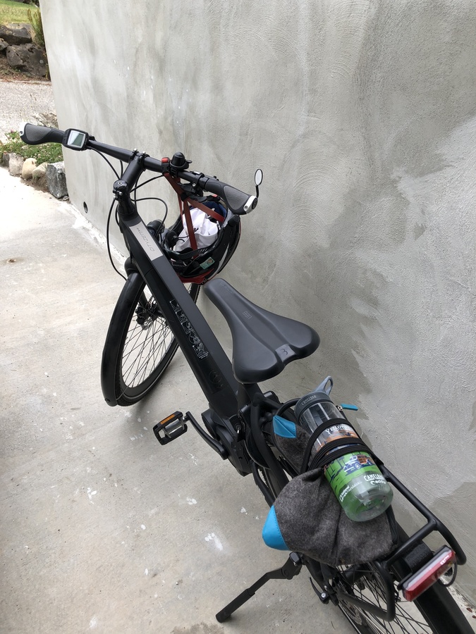 2019 Gazelle Step thru