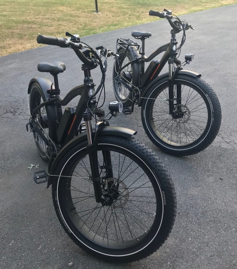 2020 Rad Power Bikes RadRover Electric Fat Bike Version 5